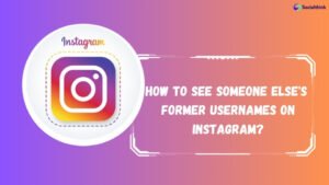 How to See Old Usernames On Instagram? Step-By-Step Guide - Social Think