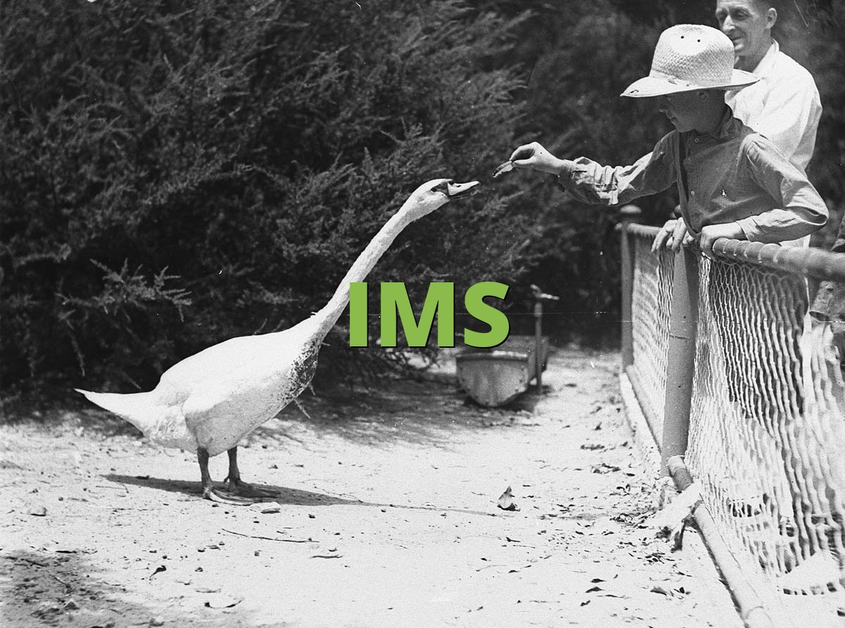 IMS Meaning: What Does It Stand For? Tech, Business & Text Slang ...